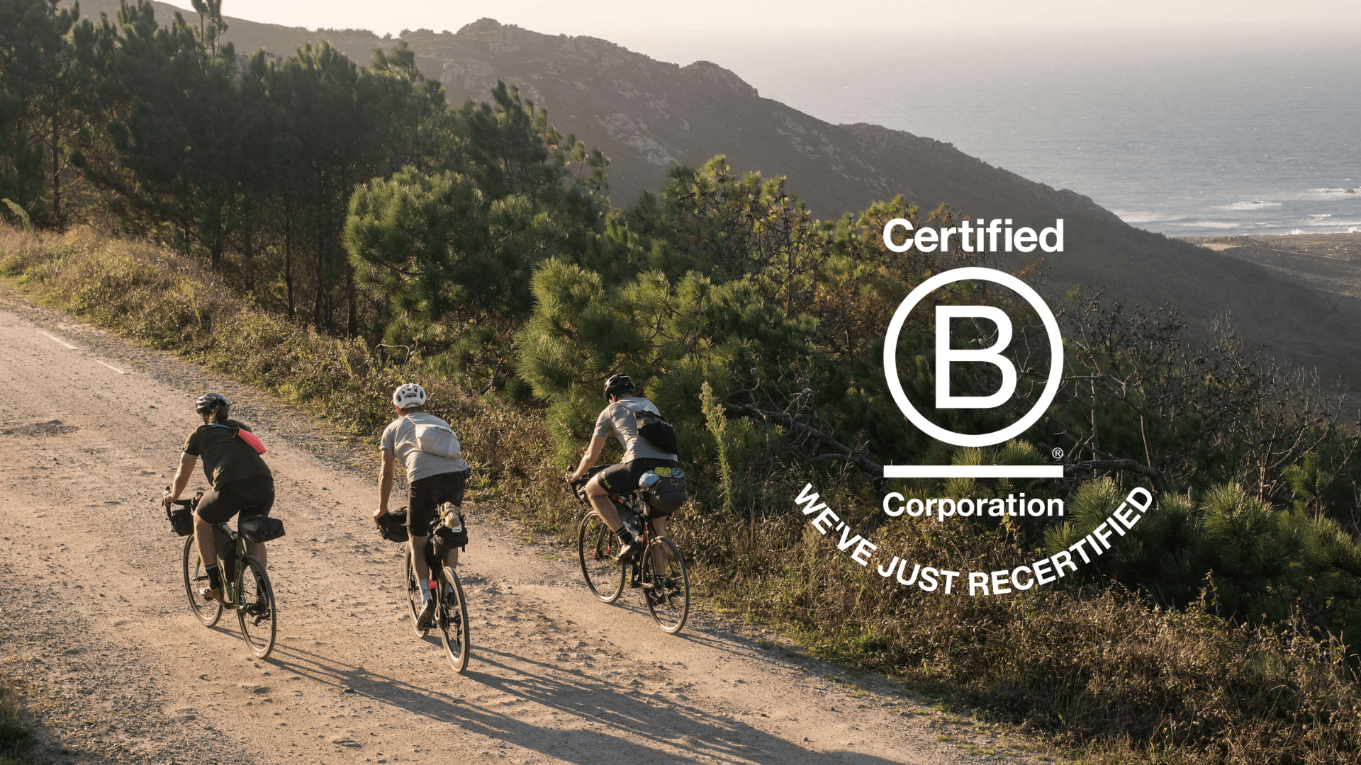 We just got re-certified as a B Corp! - Bikmo IE